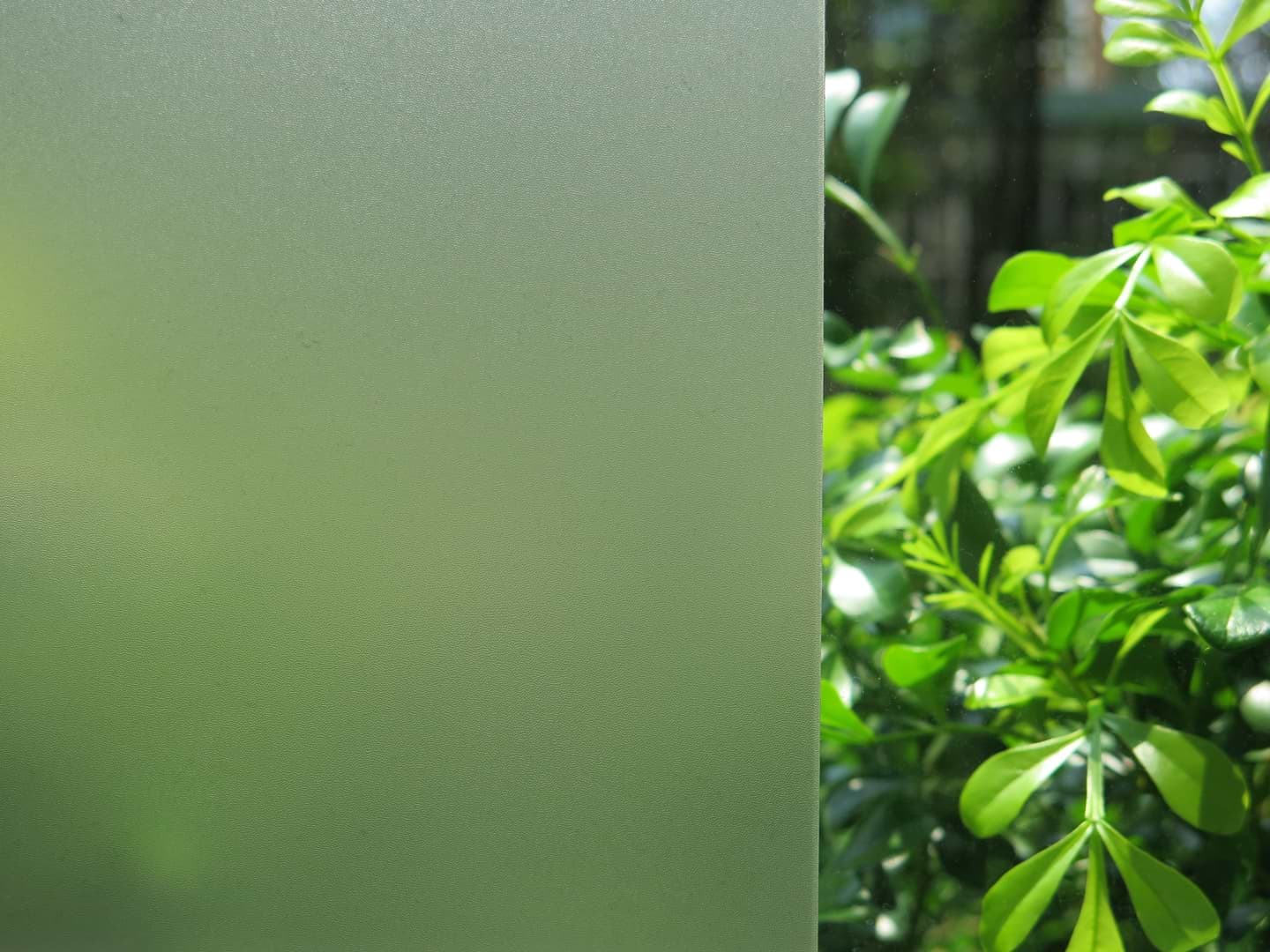 Window Film NZ | Security window frosting New Zealand